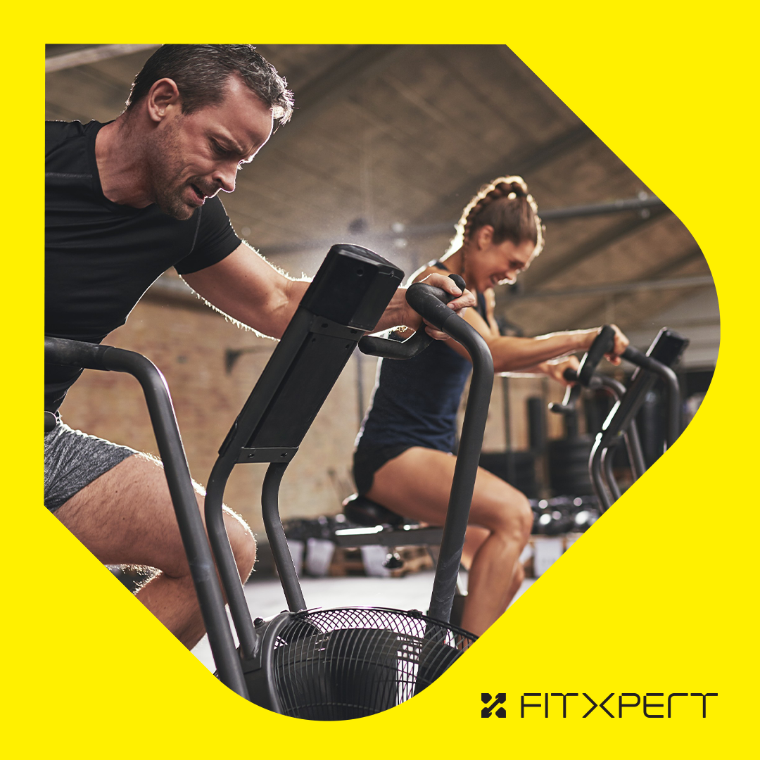 FITXPERT - FITXPERT